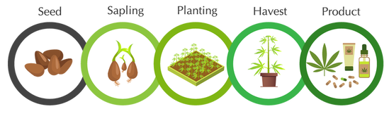 Cantrak Cannabis Software - Seed-to-Sale System - Thailand Cannabis ...